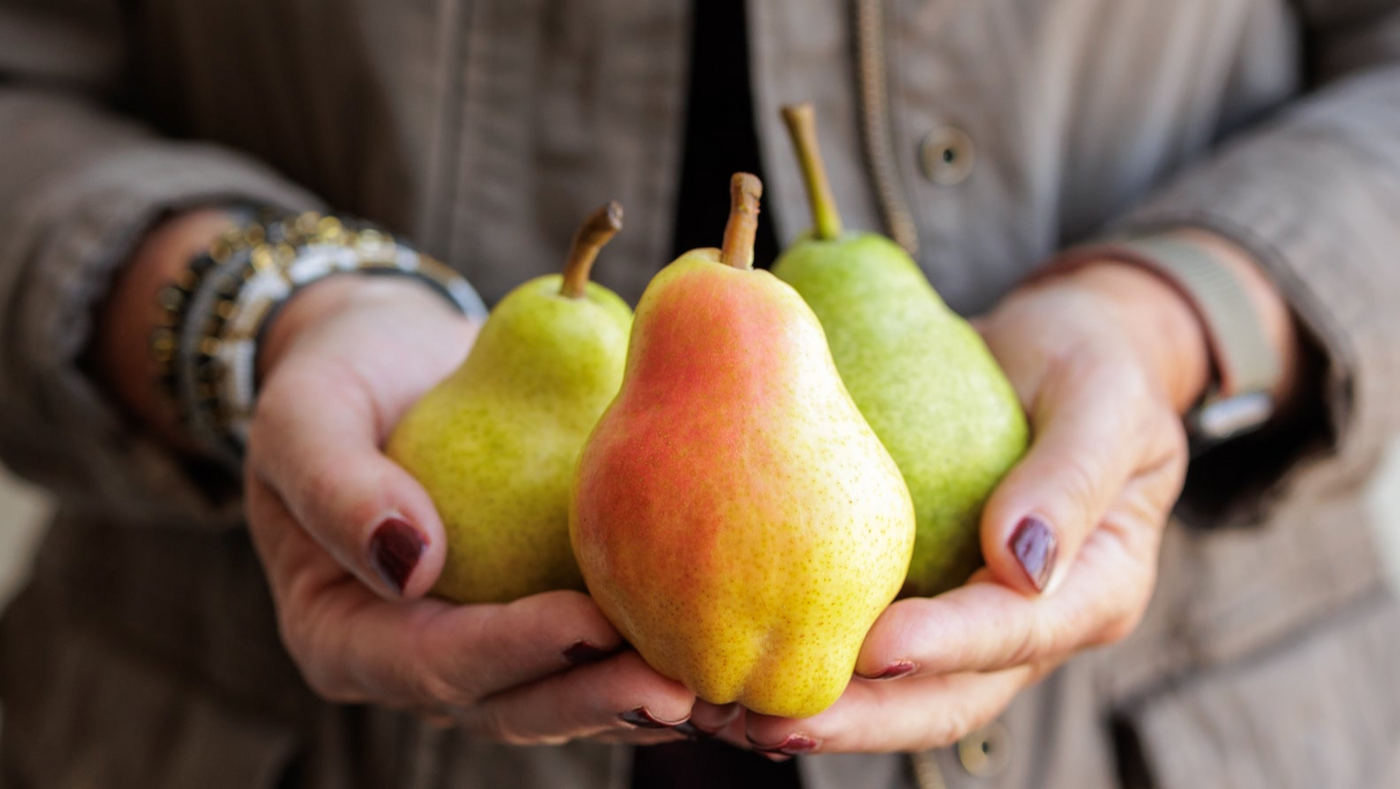 Fruitful Christian -Live God's Plan for Your Life